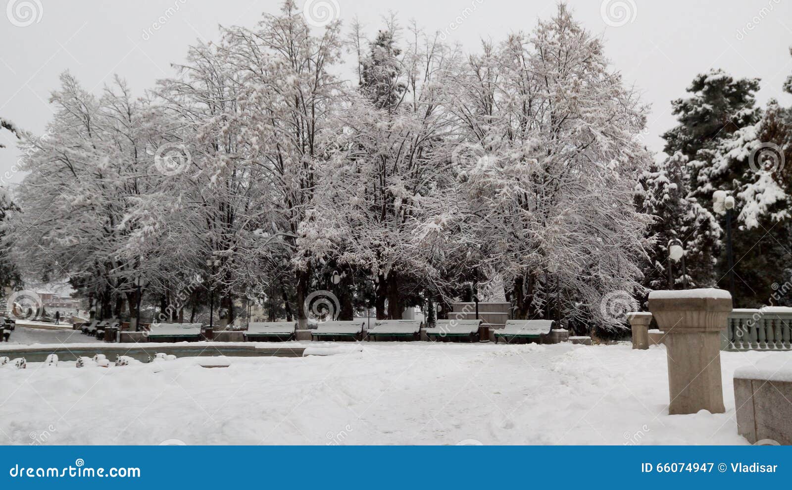 Park stock image. Image of trees, park, winter, snow - 66074947