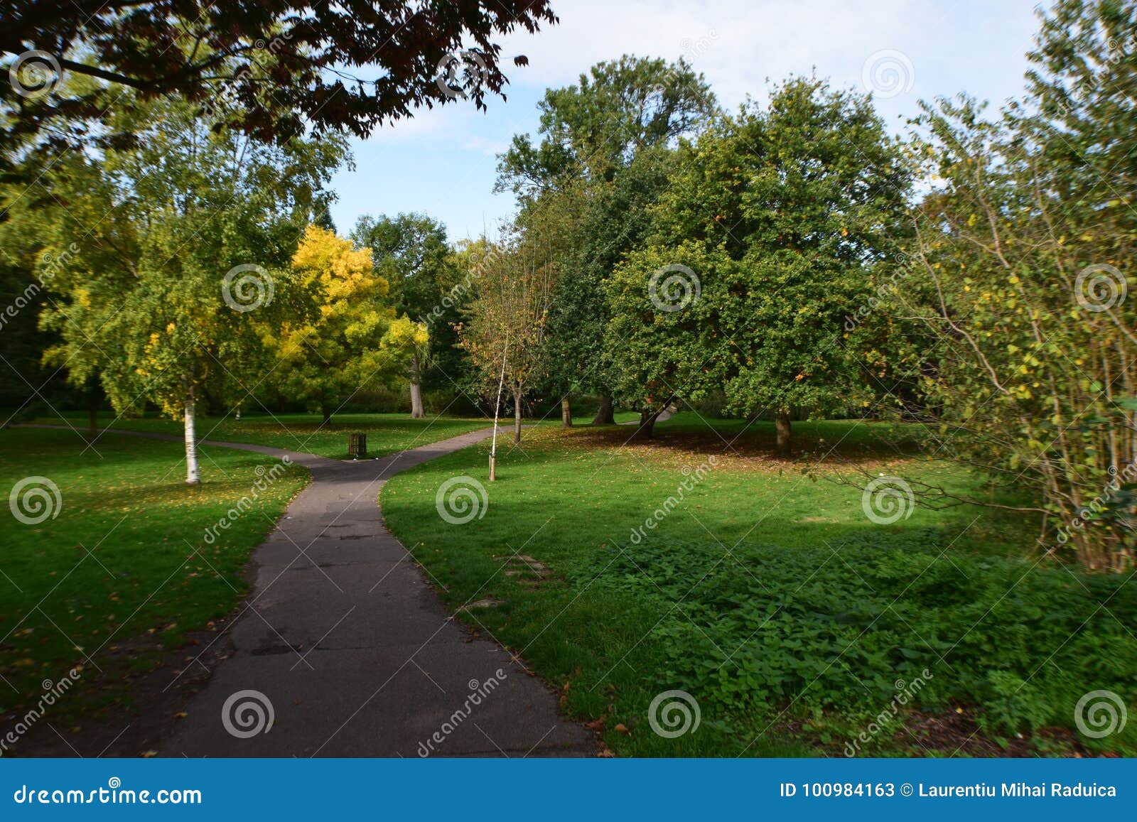 Park Split Path View stock image. Image of path, junction - 100984163