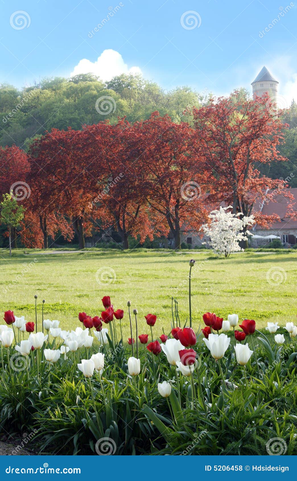 Park in the spring stock photo. Image of idyll, tower - 5206458