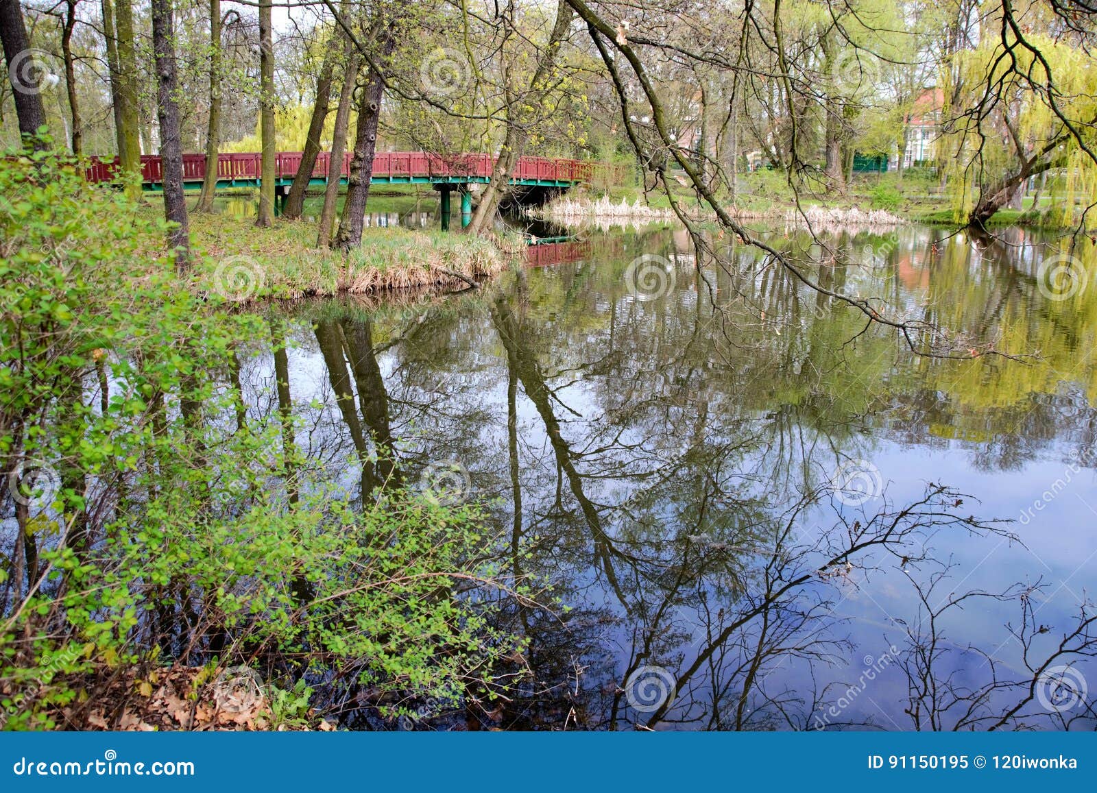 Park in spring stock image. Image of landscape, forest - 91150195