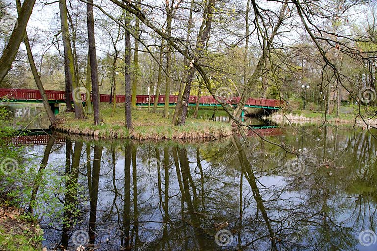 Park in spring stock image. Image of beautiful, background - 91150197