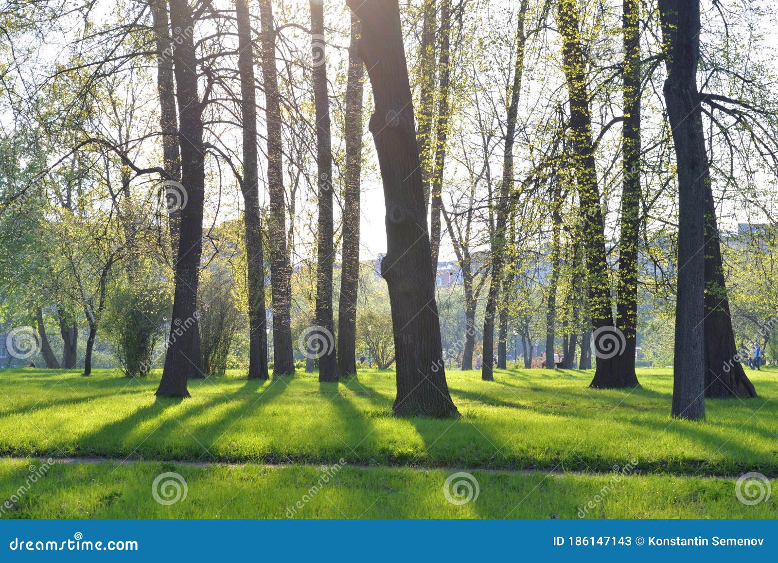 Park at spring stock image. Image of grass, outside - 186147143