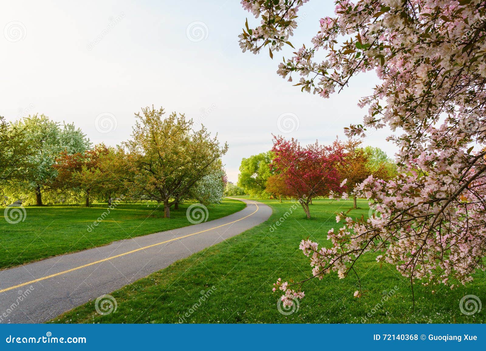 A park in spring stock photo. Image of canada, morning - 72140368