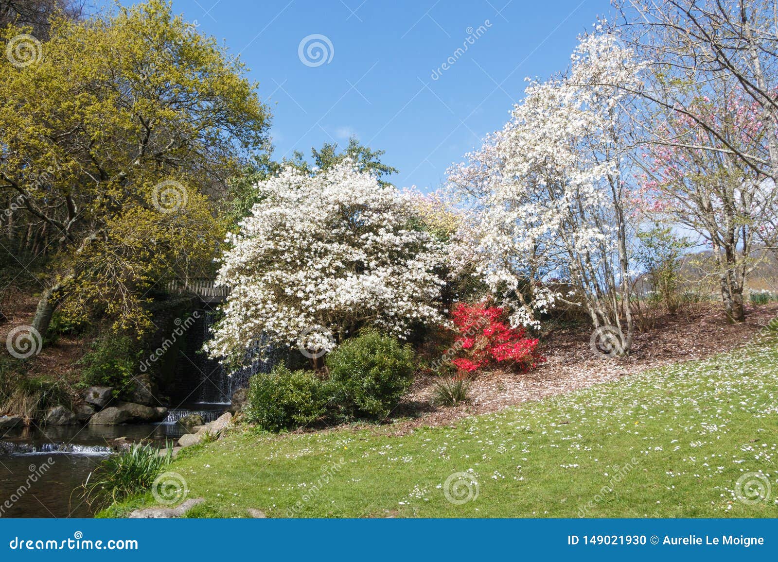 Park during spring stock photo. Image of garden, bridge - 149021930