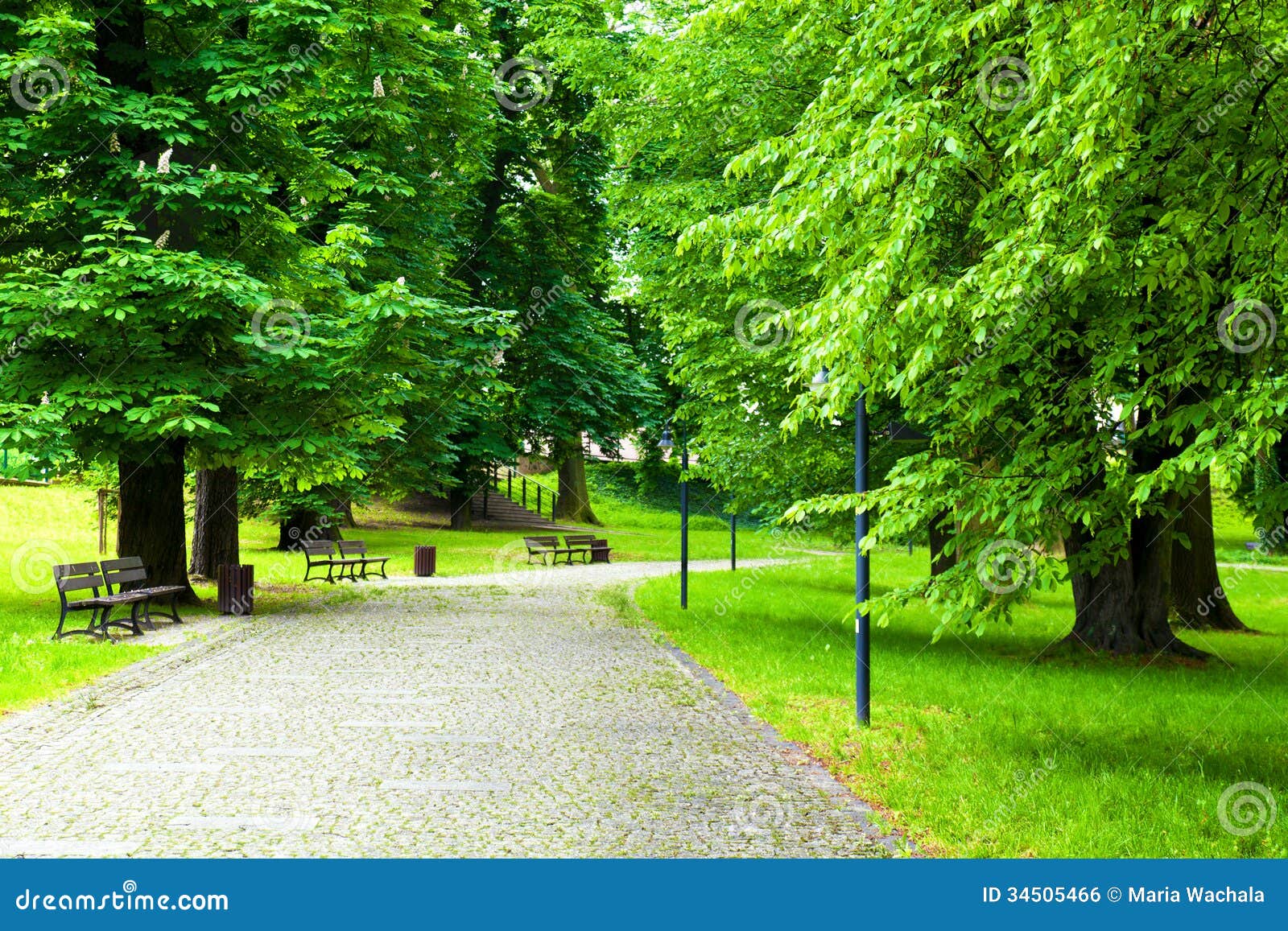 Park in Spring stock photo. Image of background, place - 34505466