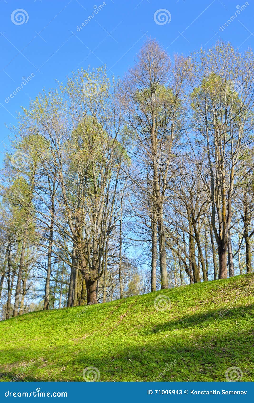 Park at spring. stock image. Image of tourism, countryside - 71009943