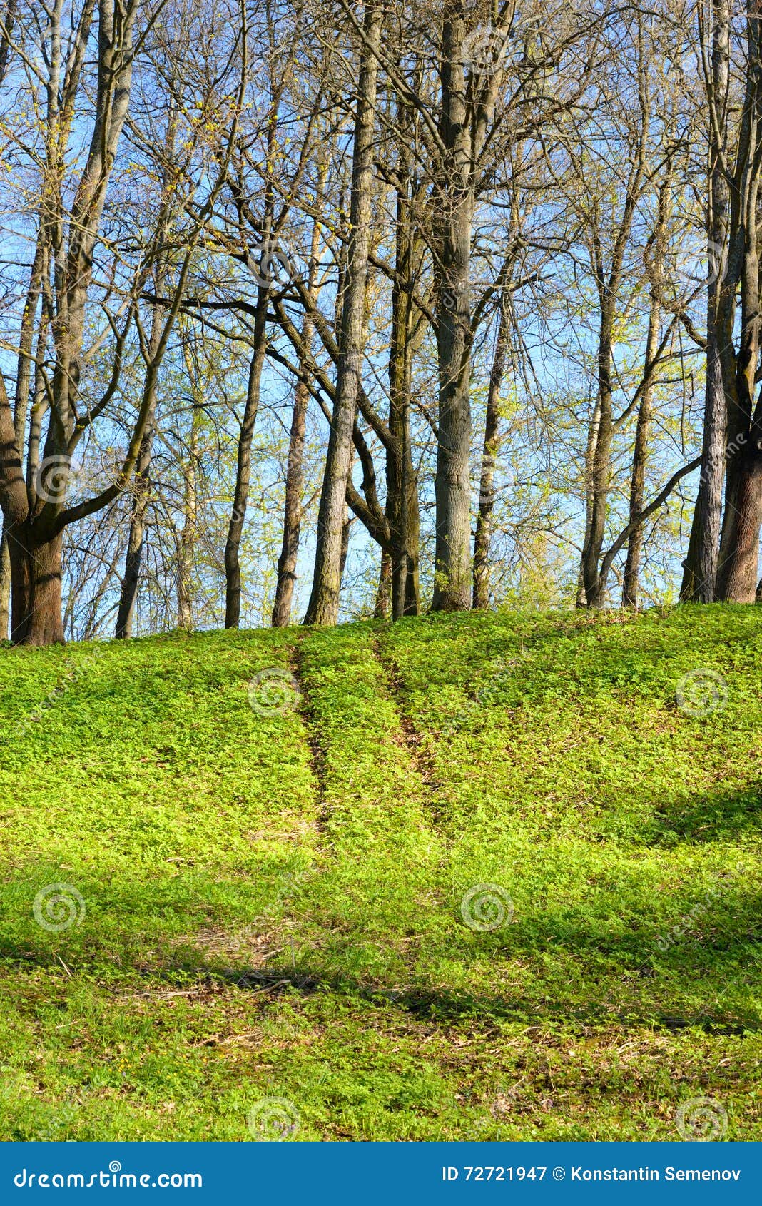 Park at spring. stock image. Image of outdoor, flora - 72721947