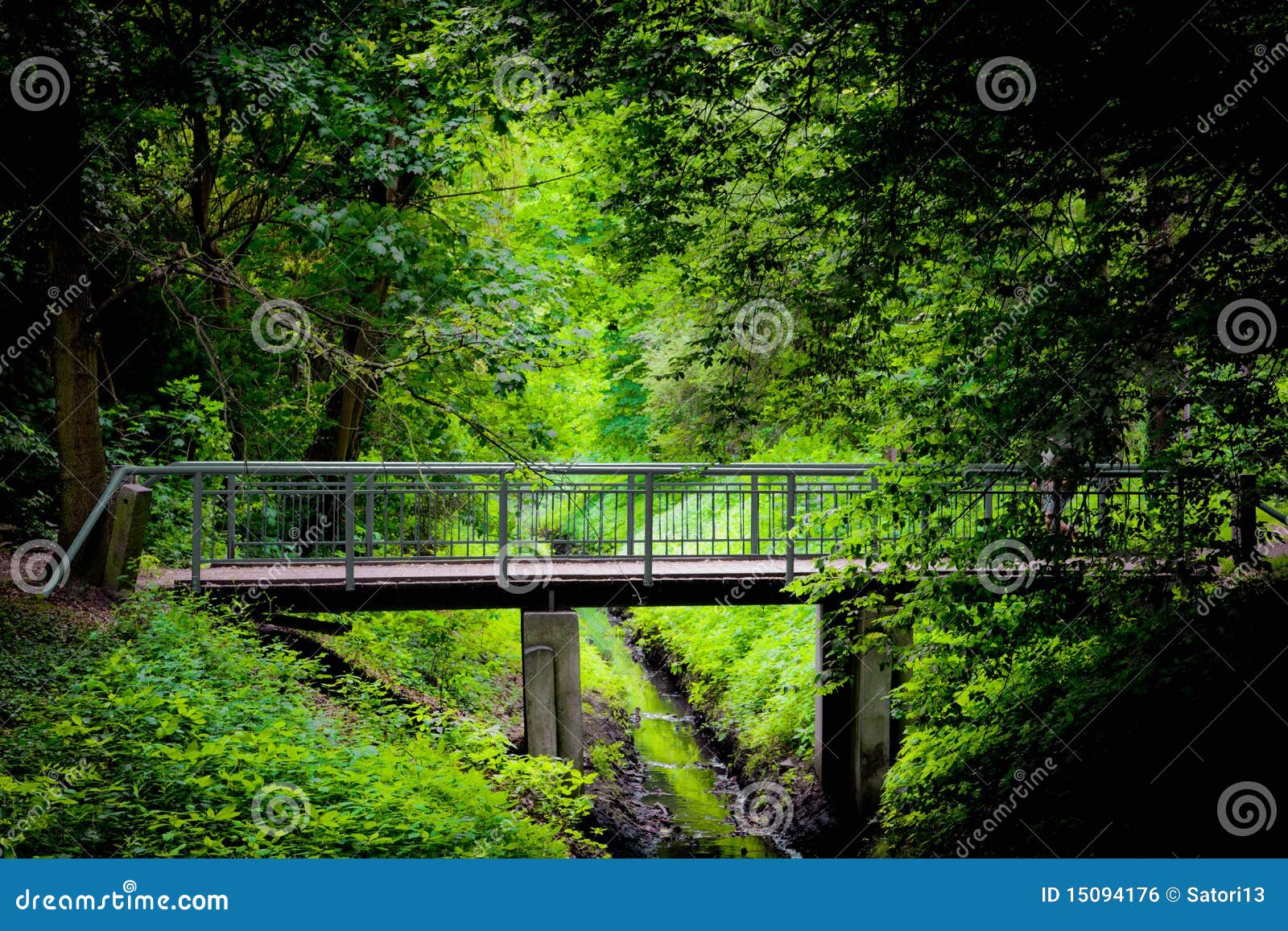 Park in spring time stock photo. Image of orange, gold - 15094176