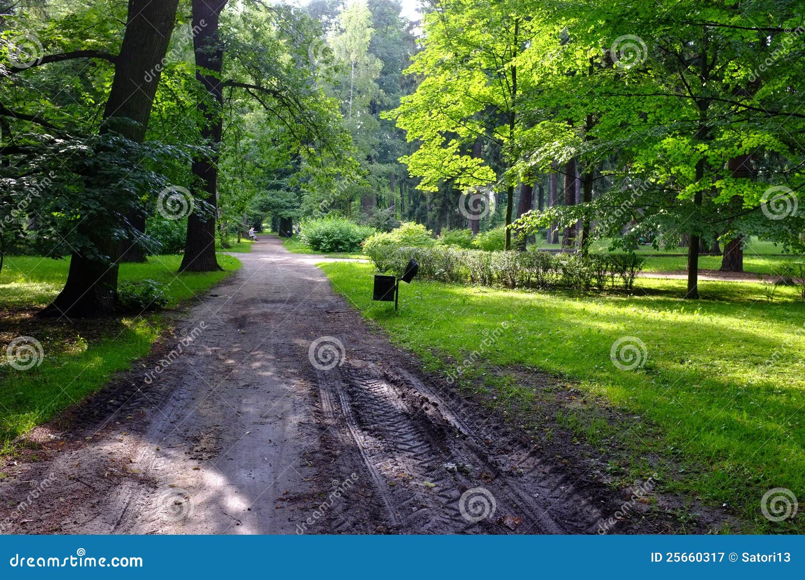 Park in spring time stock image. Image of lane, branch - 25660317