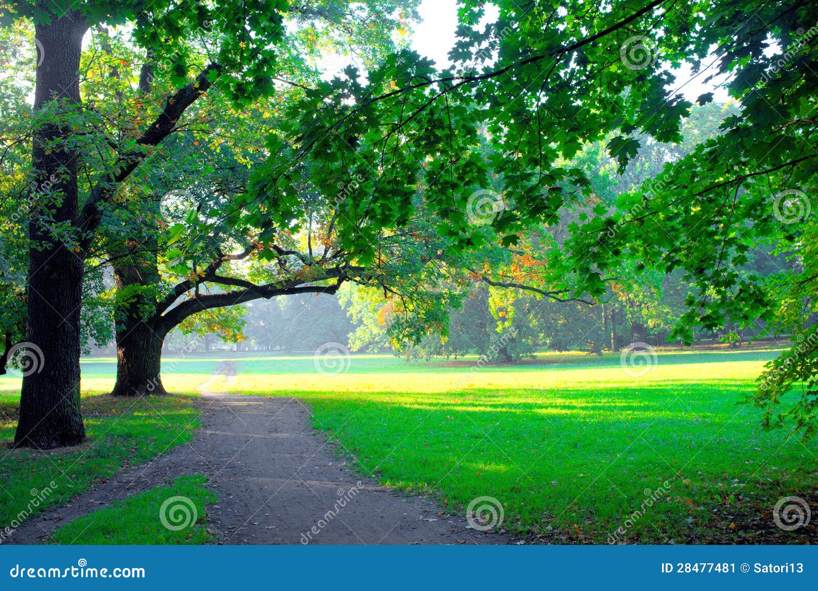 Park in spring time stock image. Image of green, forest - 28477481