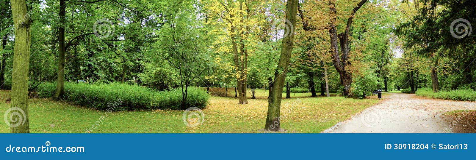 Park in spring time stock photo. Image of nature, branch - 30918204