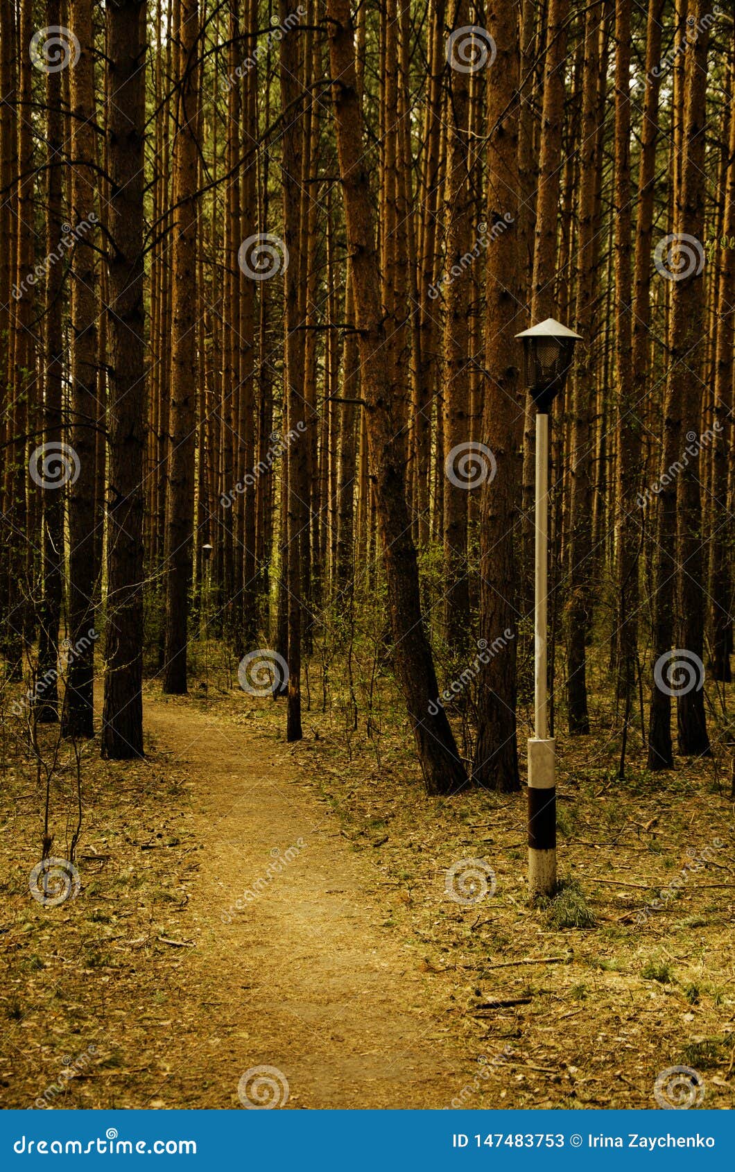 Park in Spring Time, Cloudy Day/ Stock Image - Image of green ...