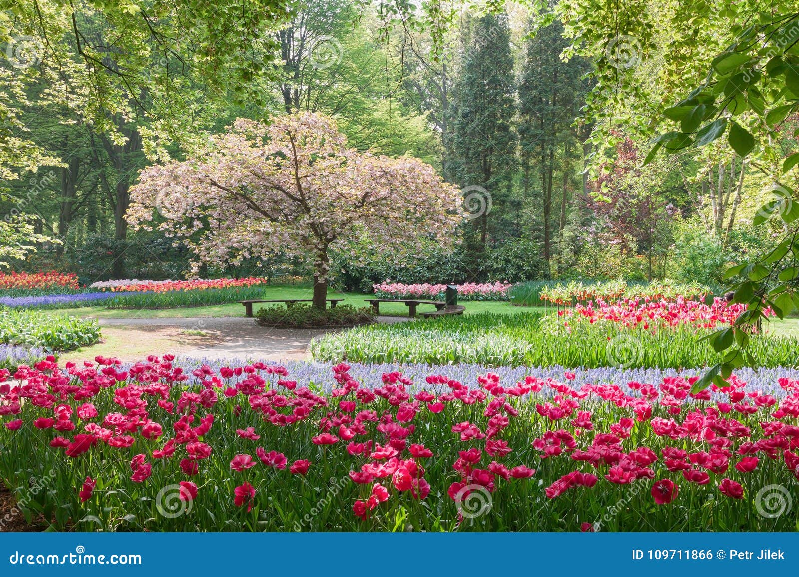 Park in the Spring stock photo. Image of background - 109711866