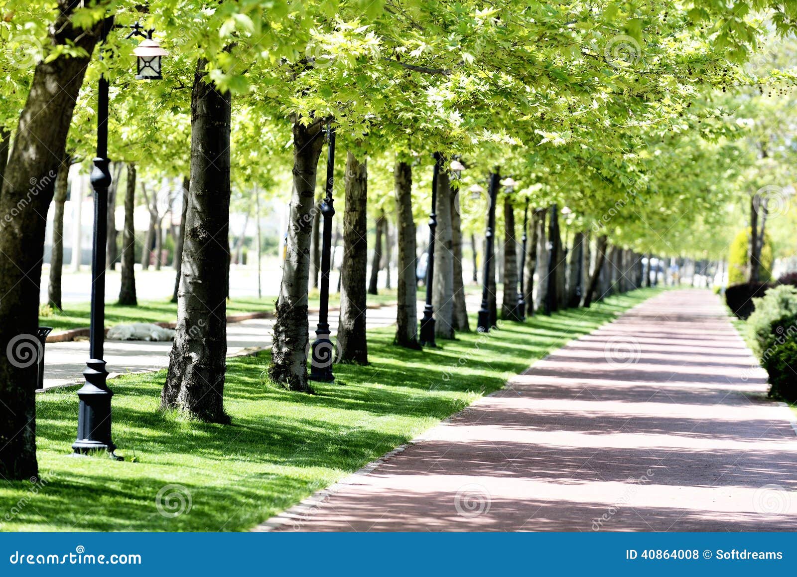 Park in spring stock photo. Image of pathway, park, hedgerow - 40864008
