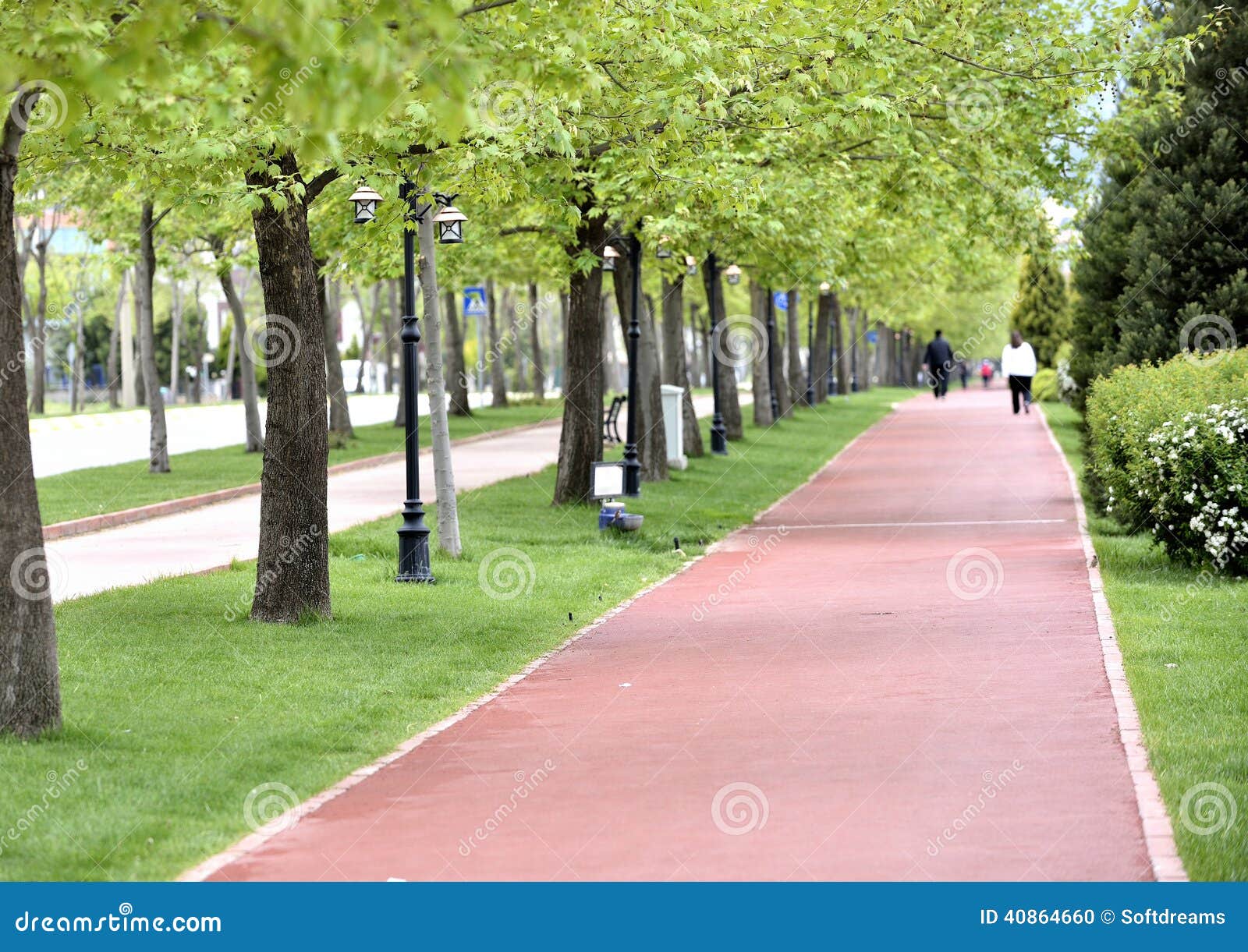 Park in spring stock photo. Image of jogging, quebec - 40864660