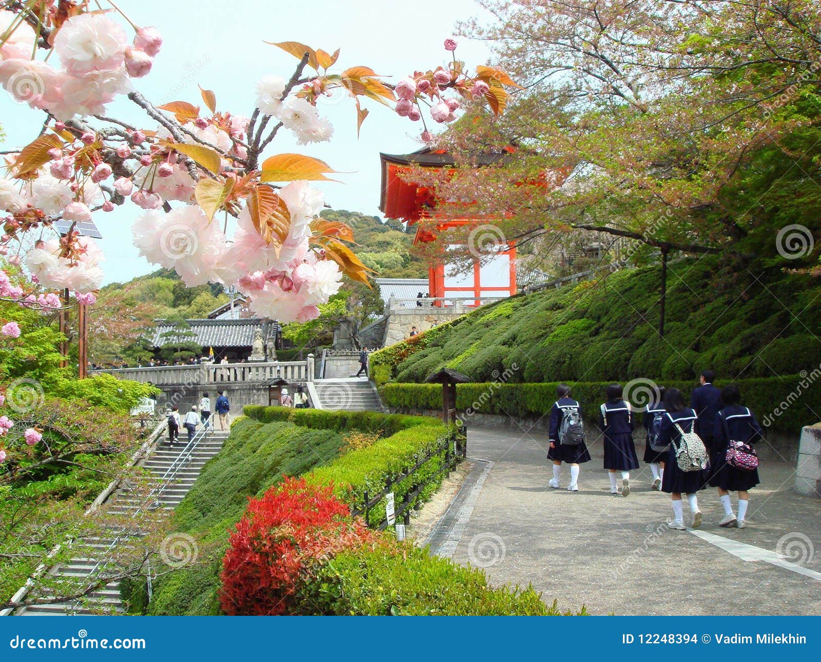 Park in Springtime in Kyoto Stock Photo - Image of sakura, springtime ...