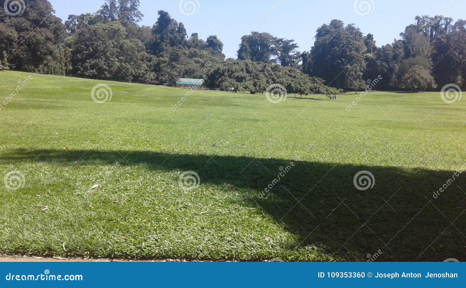 Park stock photo. Image of beautiful, kandy, park, srilanka - 109353360