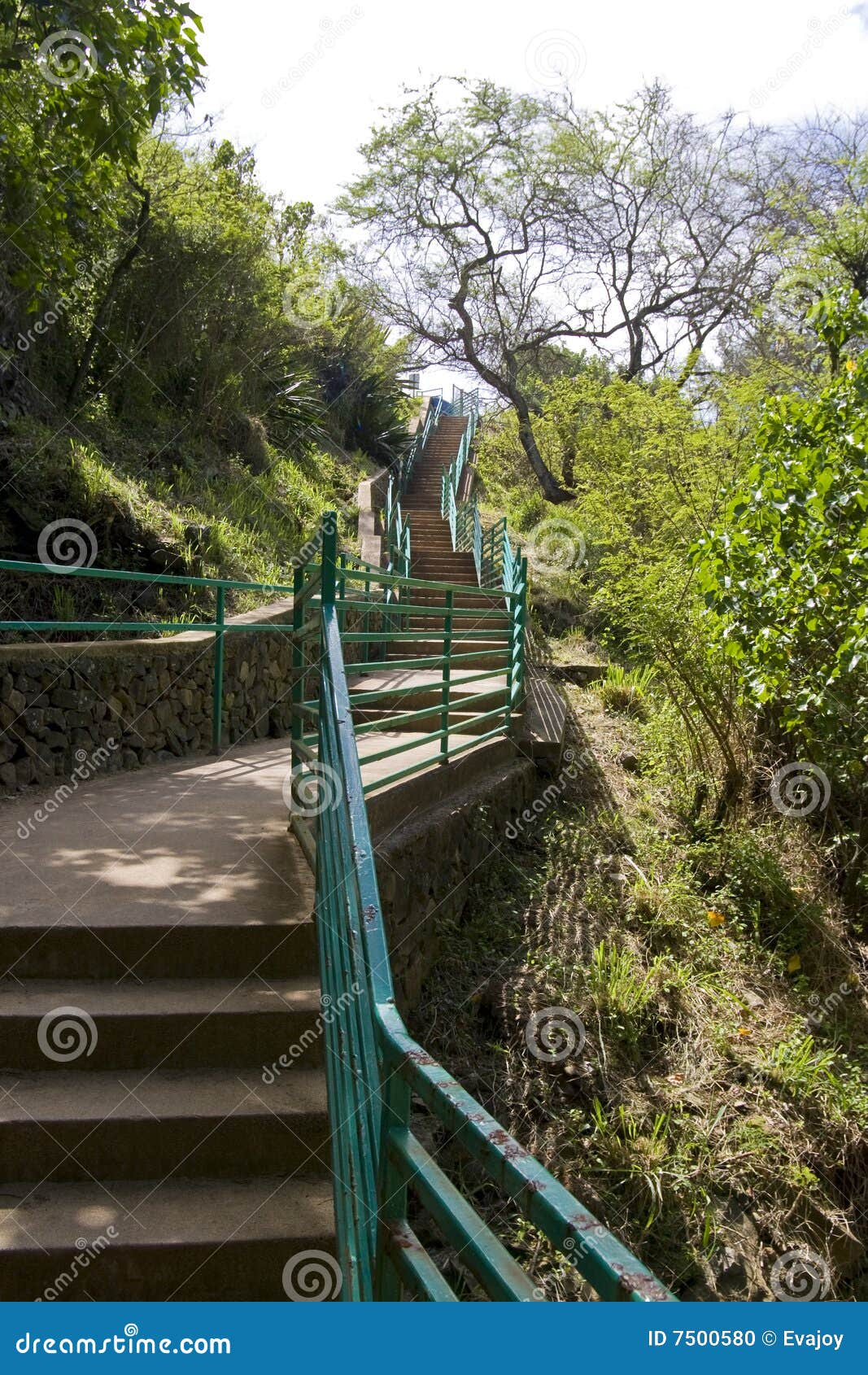 Park Staircase stock photo. Image of peeling, concrete - 7500580