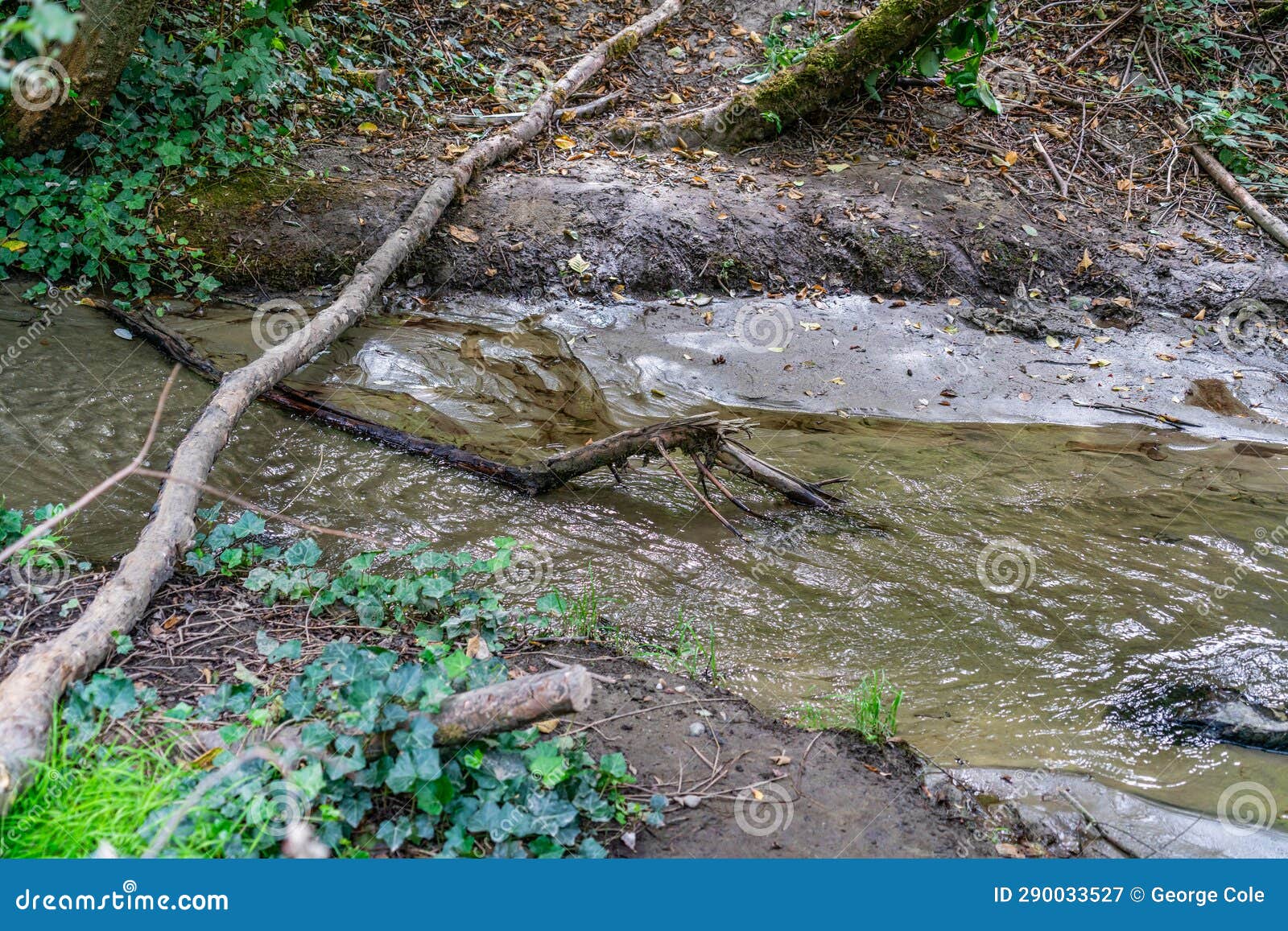 Park Stream Detail stock image. Image of closeup, tourism - 290033527