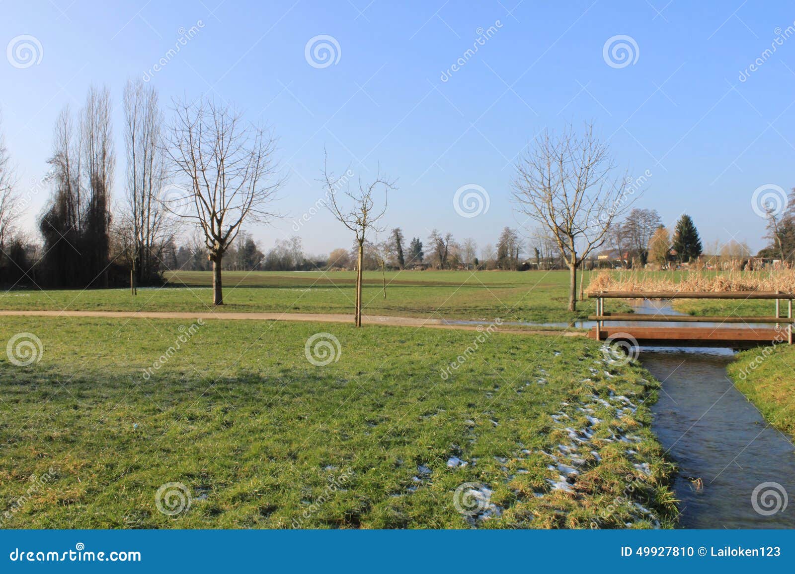 Park stream stock photo. Image of green, greenness, azure - 49927810