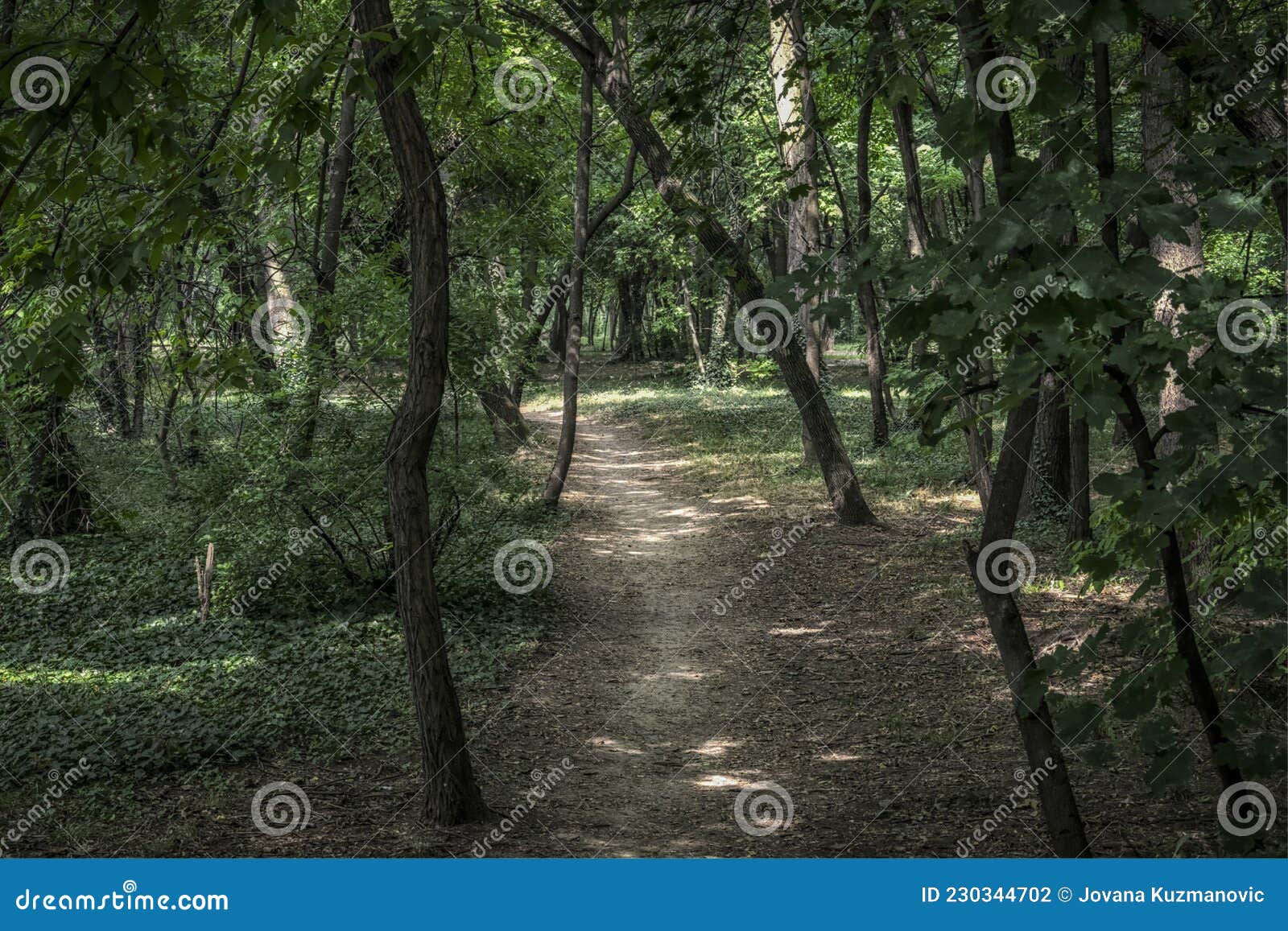Park of Sumice in Belgrade stock photo. Image of serbia - 230344702