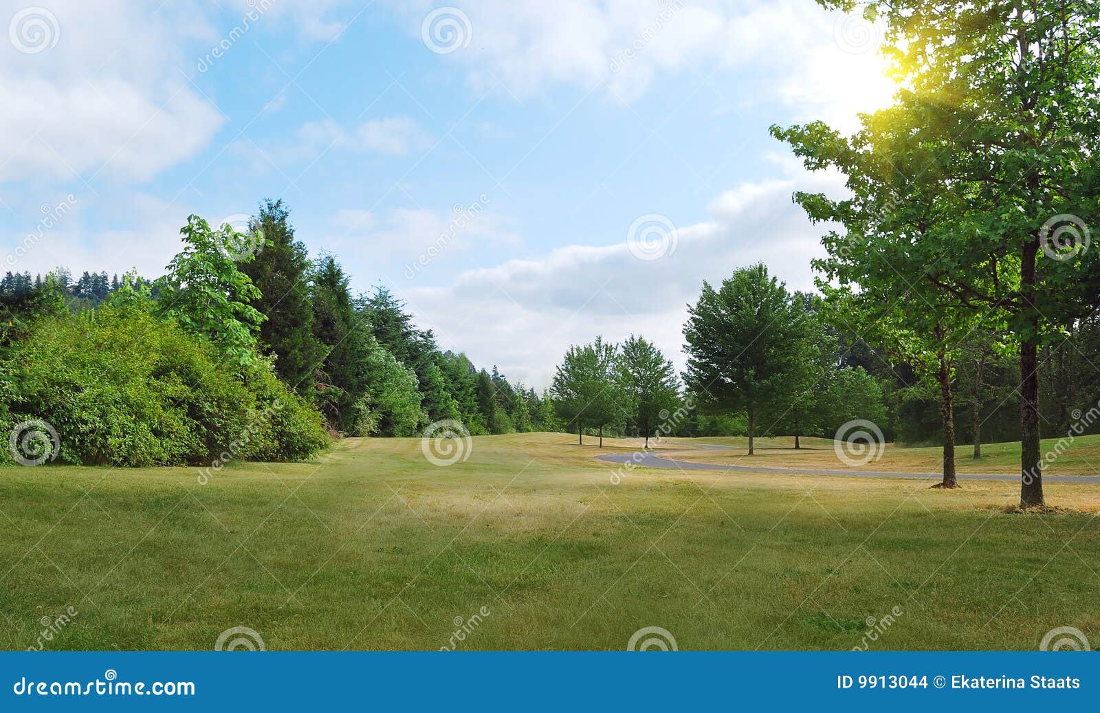 Park in summer day. stock photo. Image of fluffy, green - 9913044