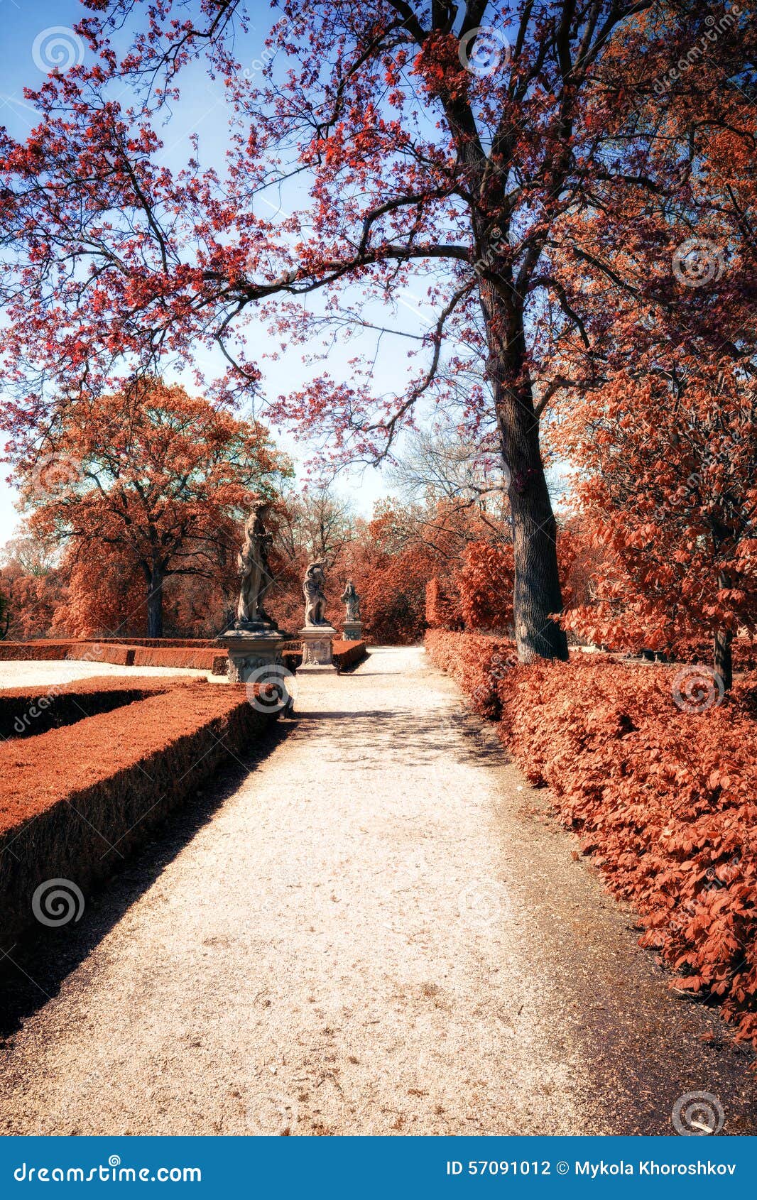 Park at sunny autumn day stock photo. Image of path, lawn - 57091012