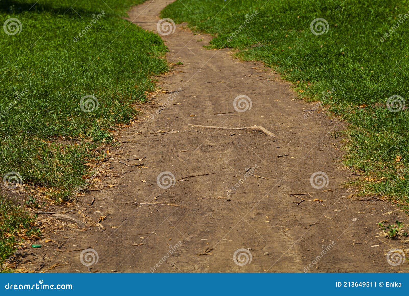 Park on a Sunny Day. Walking Path Stock Image - Image of growth, grass ...