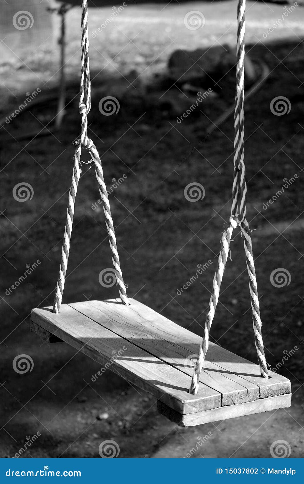 Park Swing stock photo. Image of swing, tree, leisure - 15037802