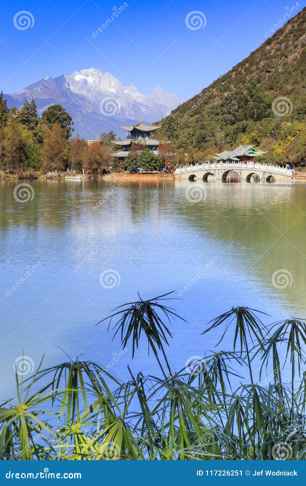 Park in the Town of Lijang China. Stock Image - Image of bridge ...