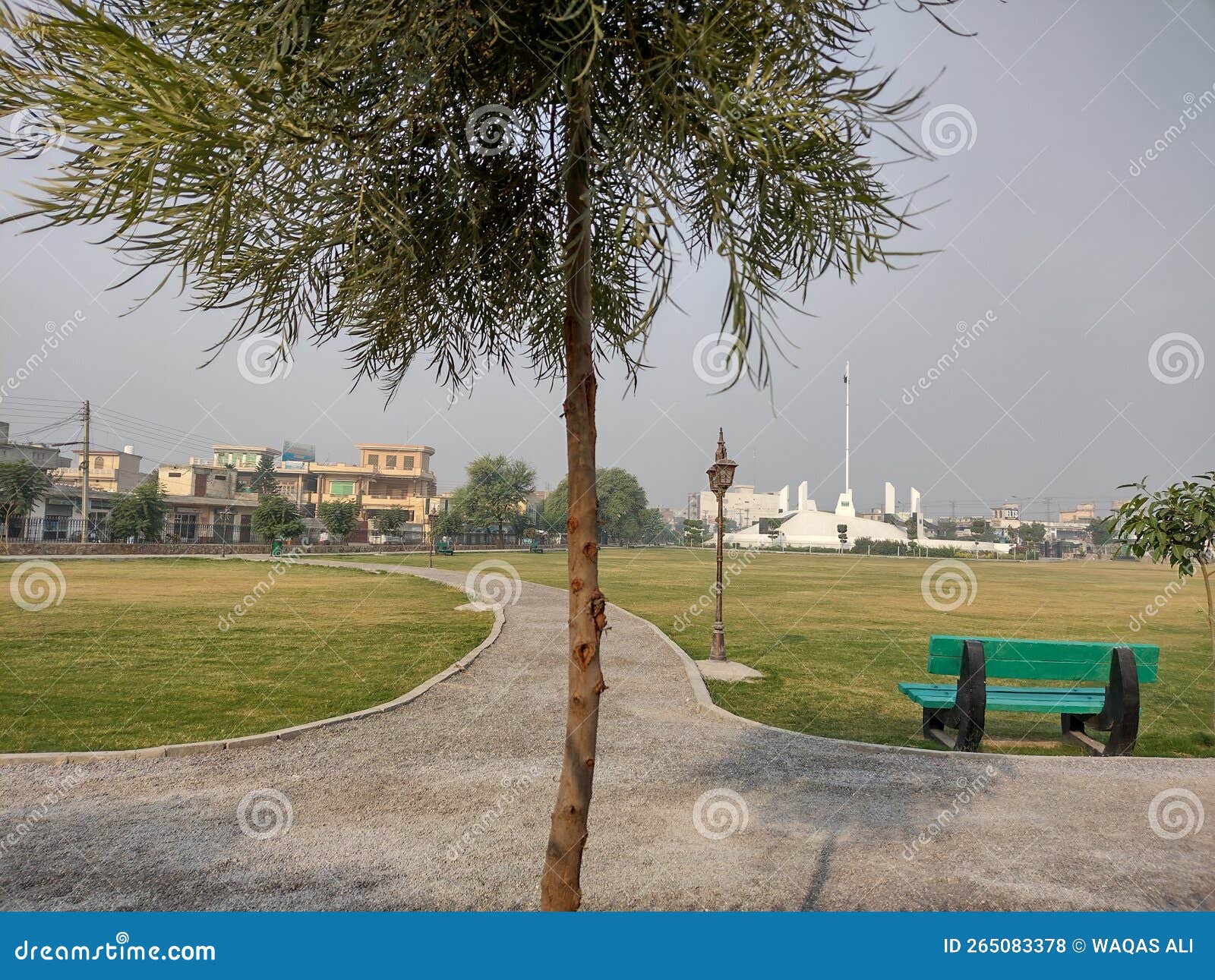 Park Tree Beanch Grass Walkway Stock Photo - Image of grass, tree ...