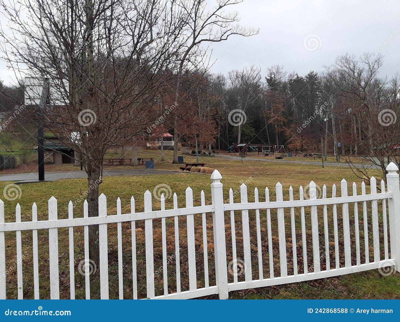 Park Tree Fence Grass Woods Stock Photo - Image of park, fence: 242868588