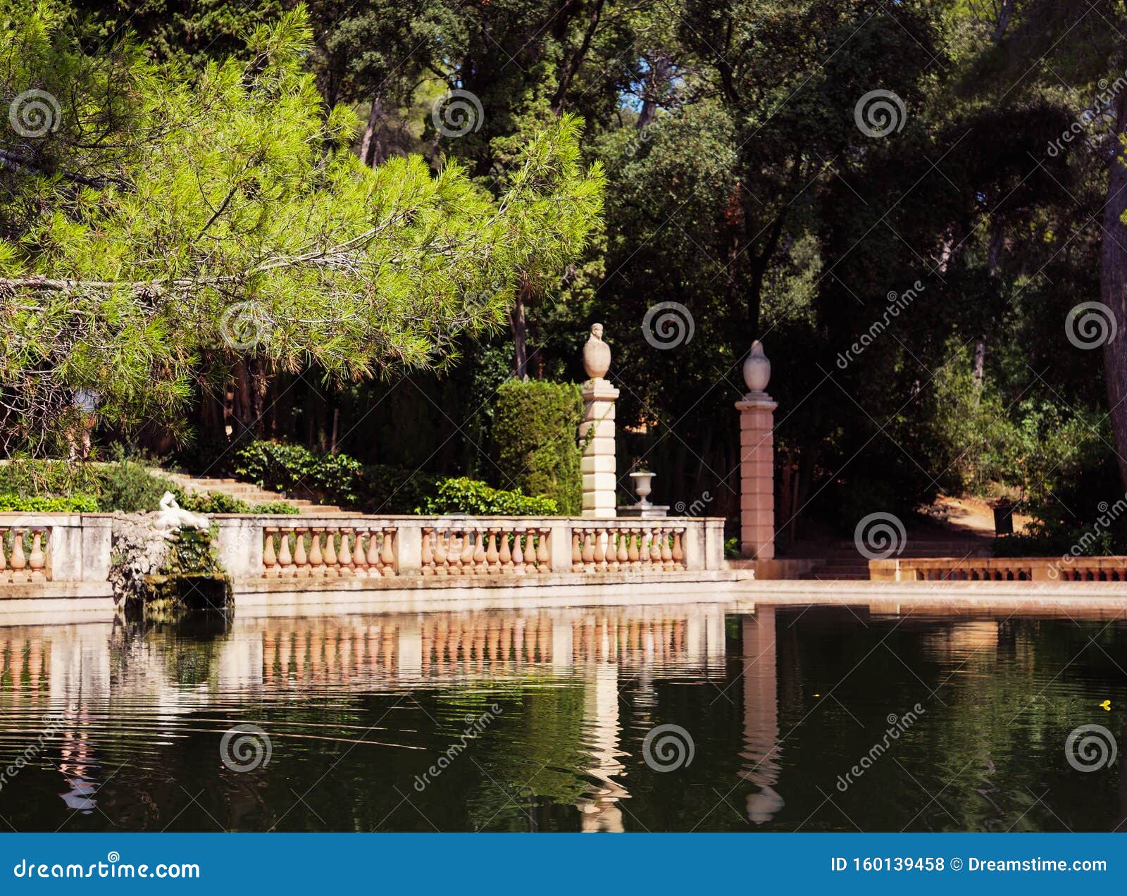 Park with Trees and an Old Pond. Stock Photo - Image of green ...
