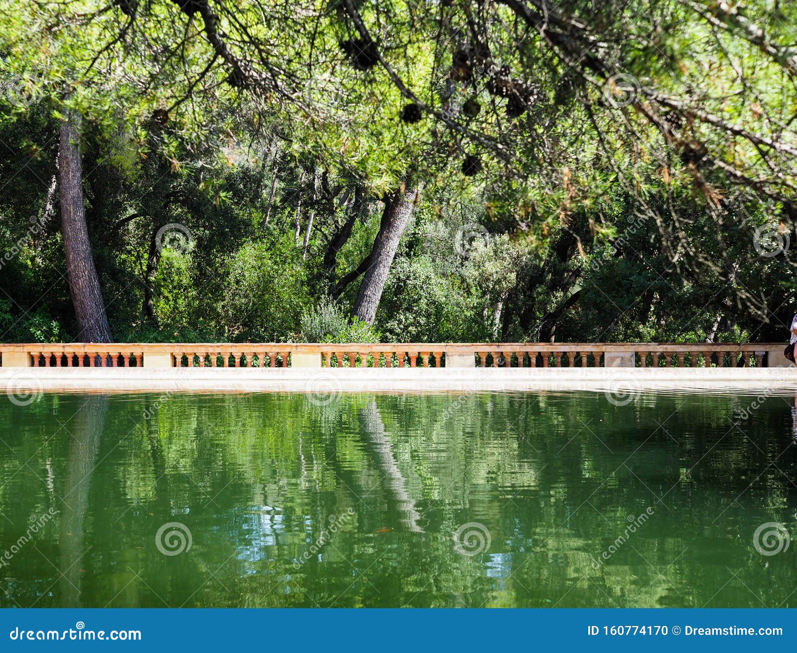 Park with Trees and an Old Pond. Stock Photo - Image of outdoors ...