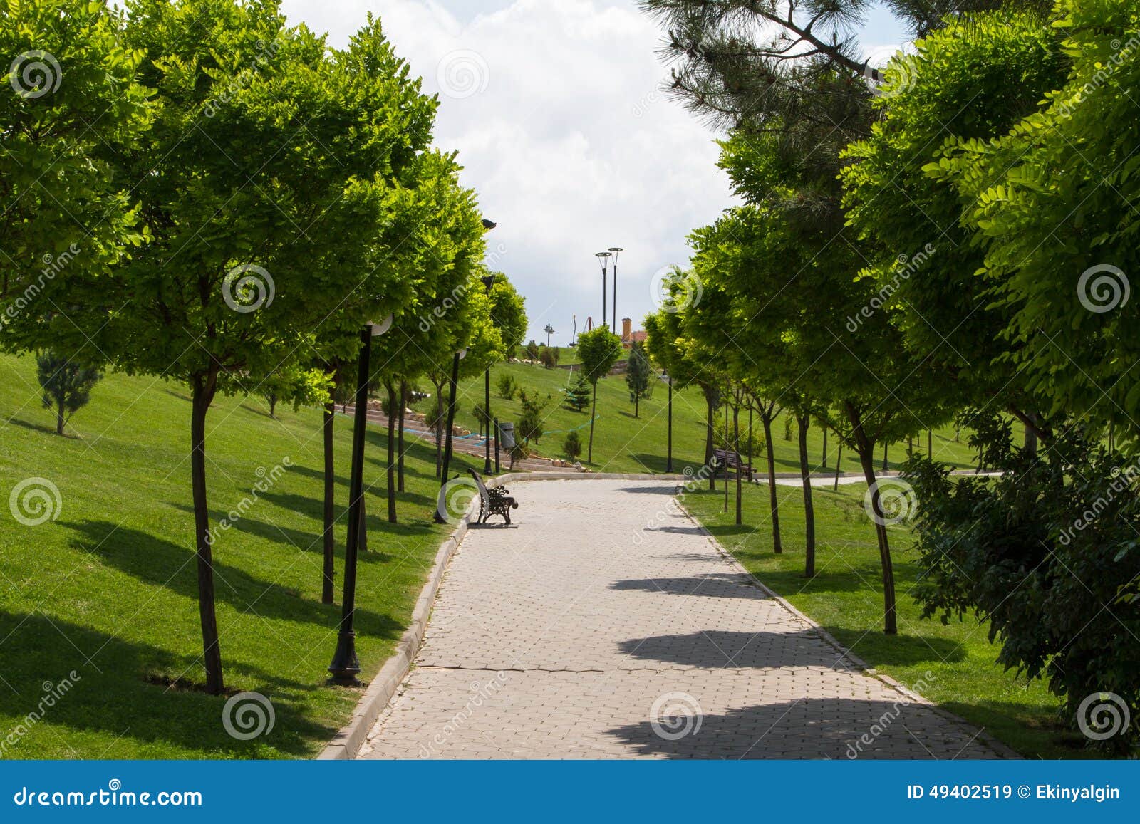 Park with Trees stock image. Image of park, view, hill - 49402519