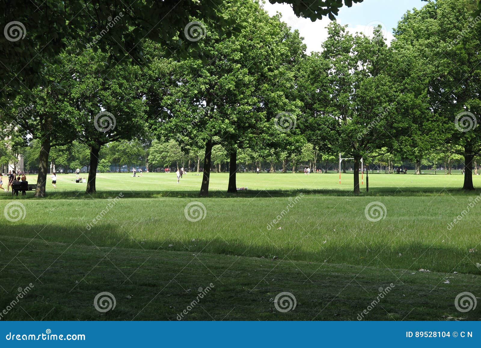 PARK with TREES editorial stock image. Image of park - 89528104
