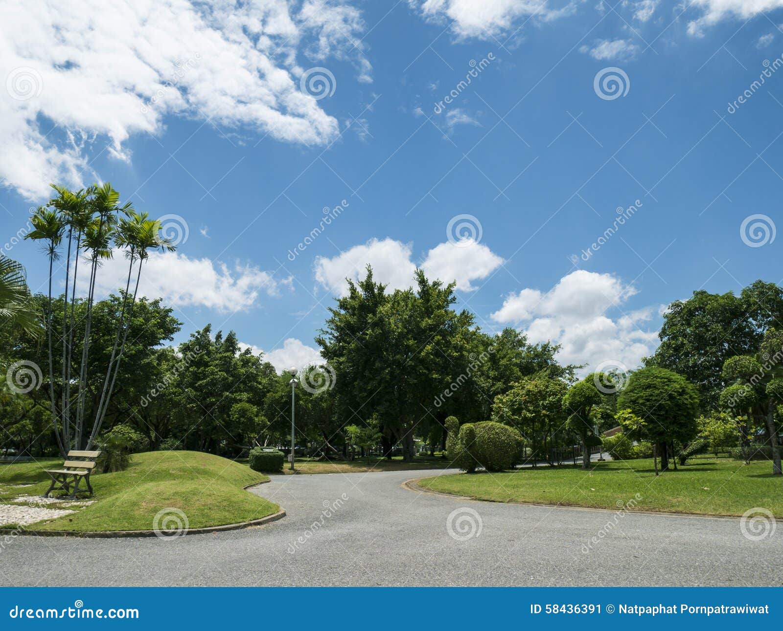 Park under blue sky 1 stock image. Image of rural, bracing - 58436391