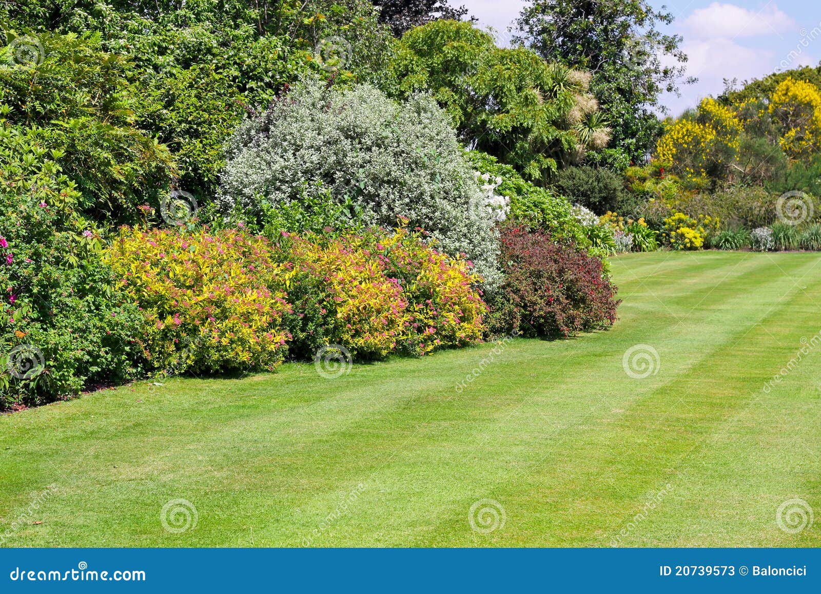 Park vegetation stock image. Image of grass, park, green - 20739573