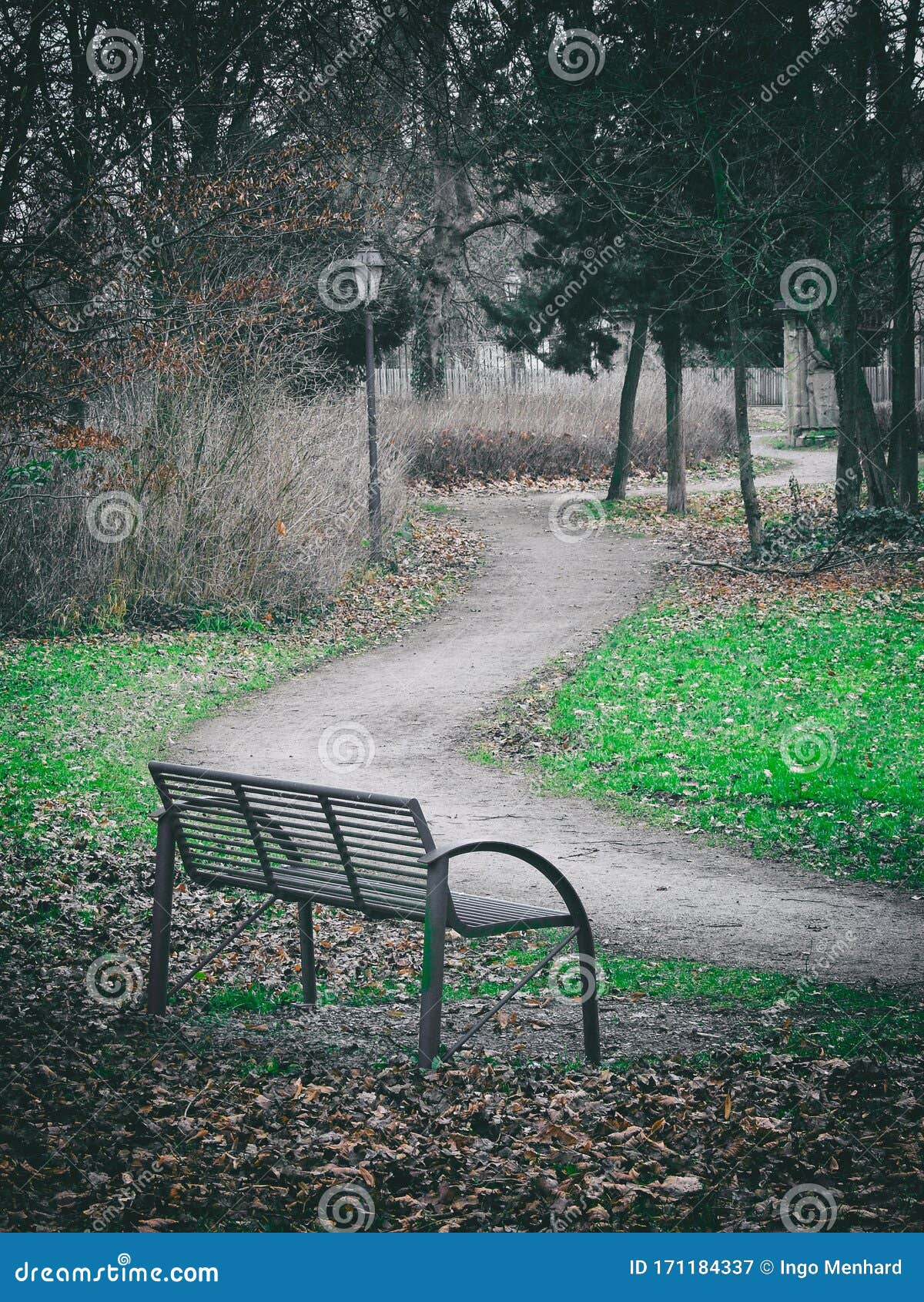 Park View from a Bench into the Park Stock Image - Image of view ...