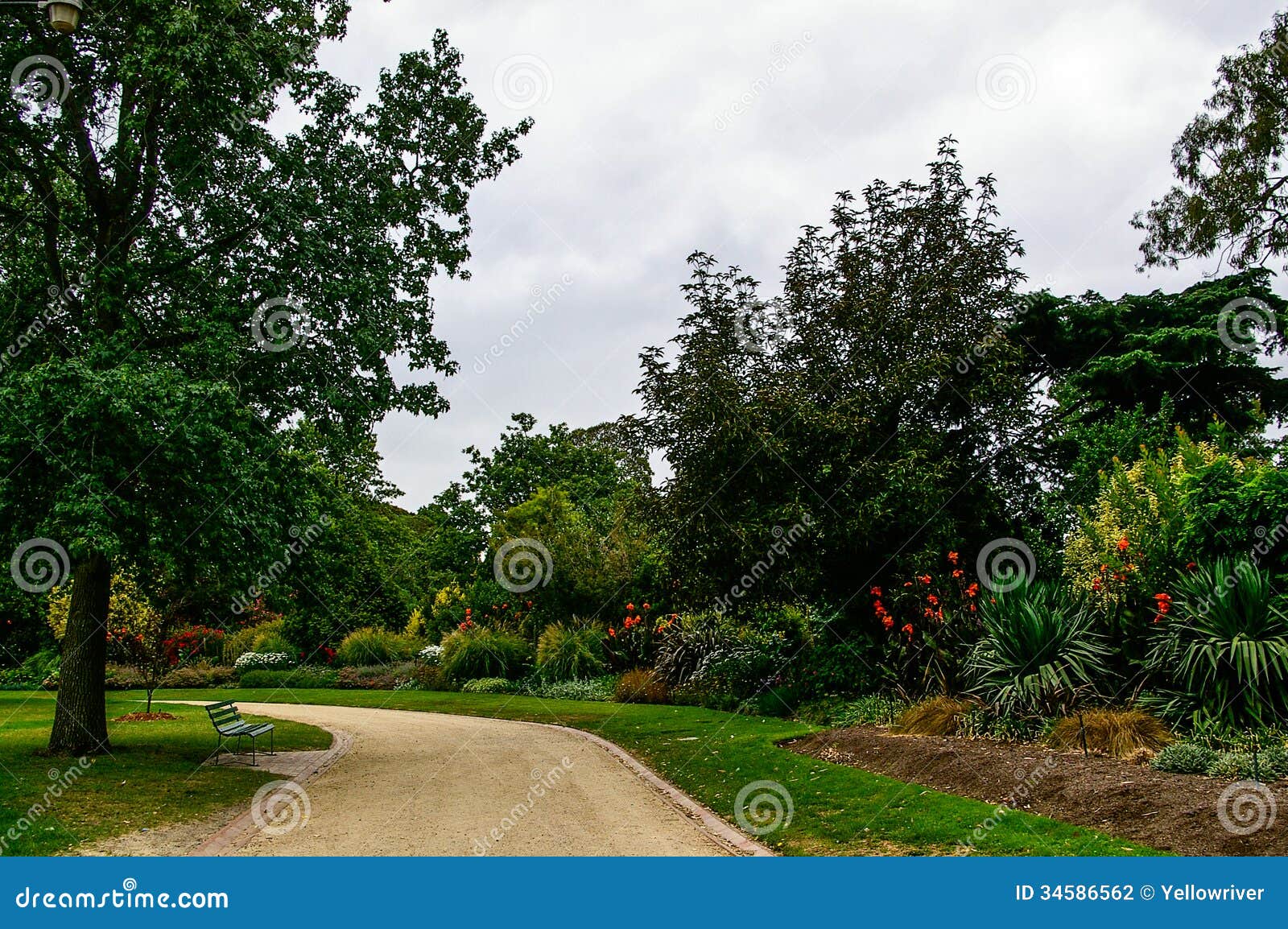 Park view stock photo. Image of summer, tree, landscape - 34586562