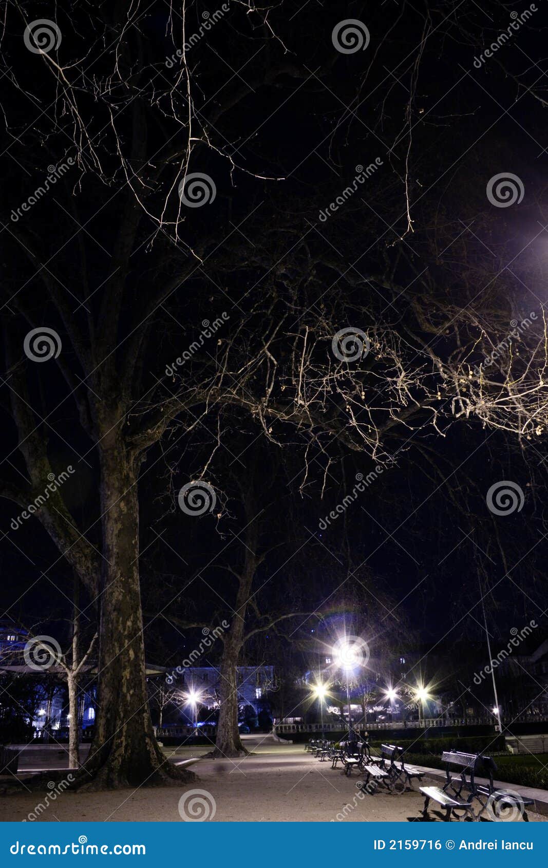Park View at Night stock photo. Image of void, deserted - 2159716