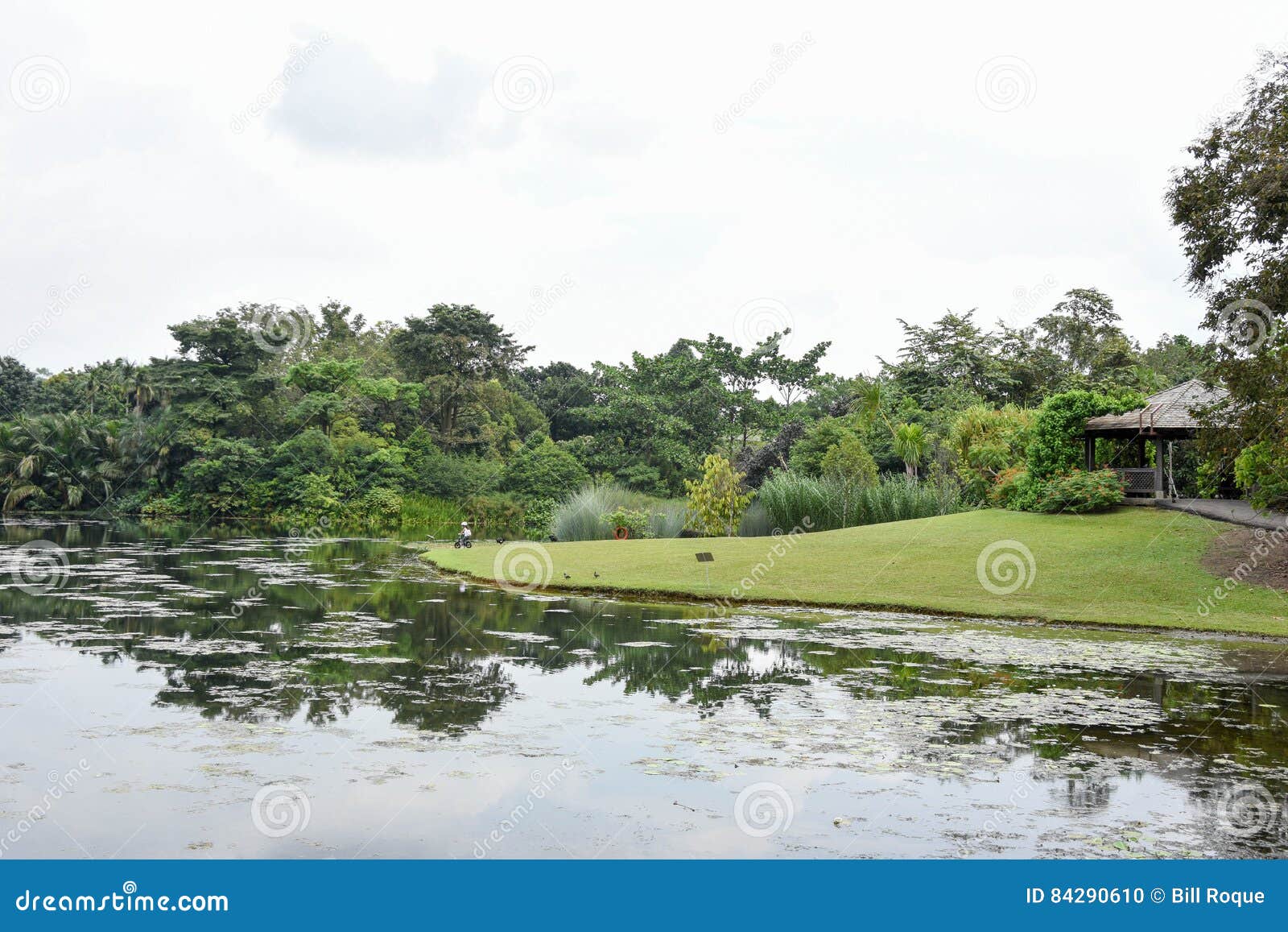 Park view and river stock photo. Image of rural, lakeside - 84290610