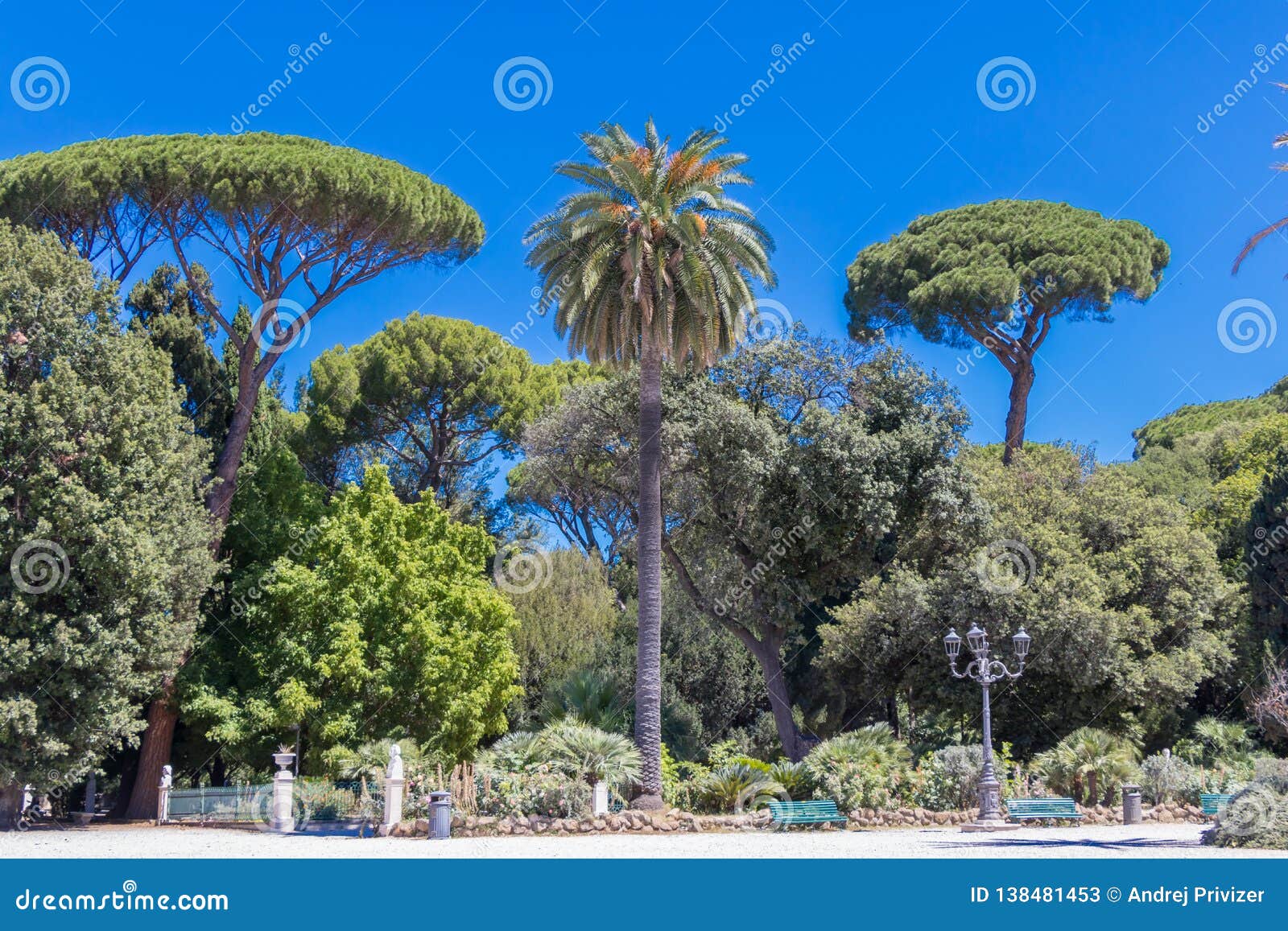 Park Villa Borghese in Rome Stock Image - Image of outdoor, pincio ...