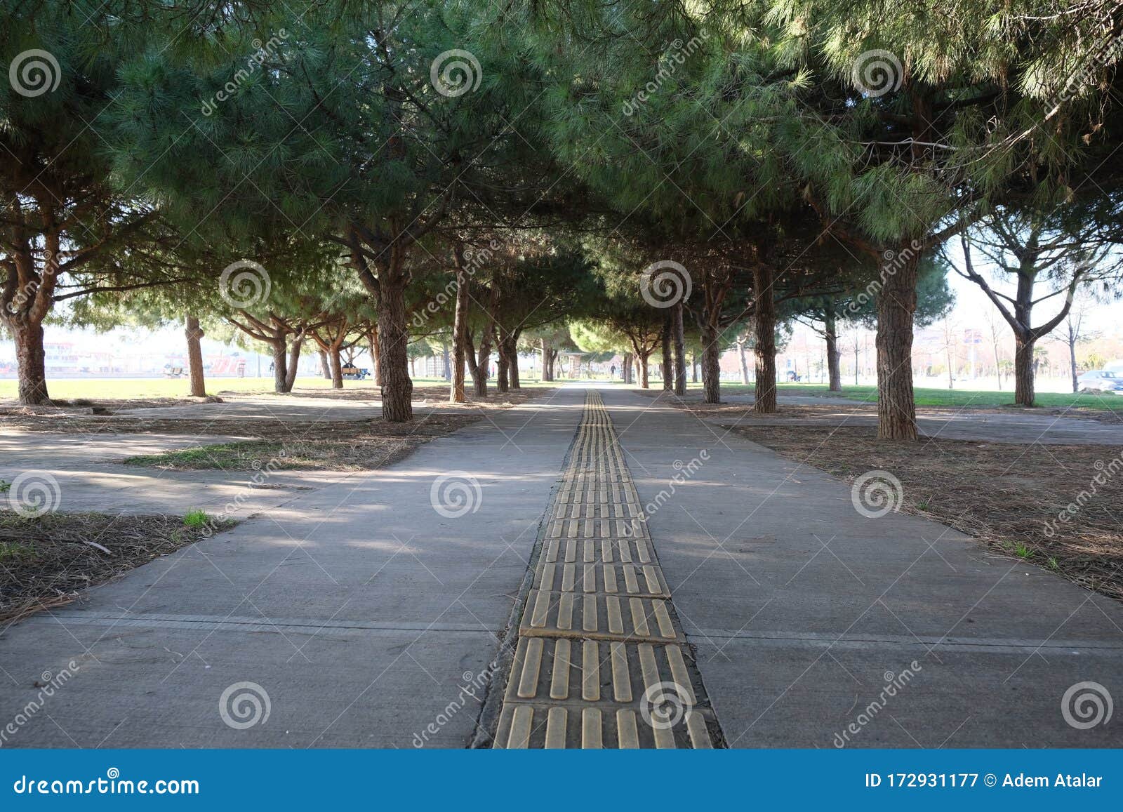 Park walking path stock image. Image of plant, asia - 172931177