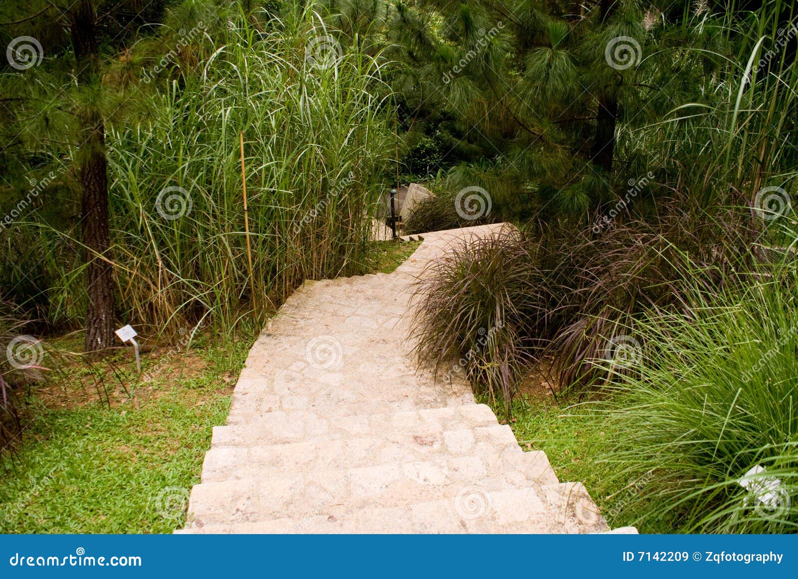 Park walkway stock image. Image of backyard, gardener - 7142209