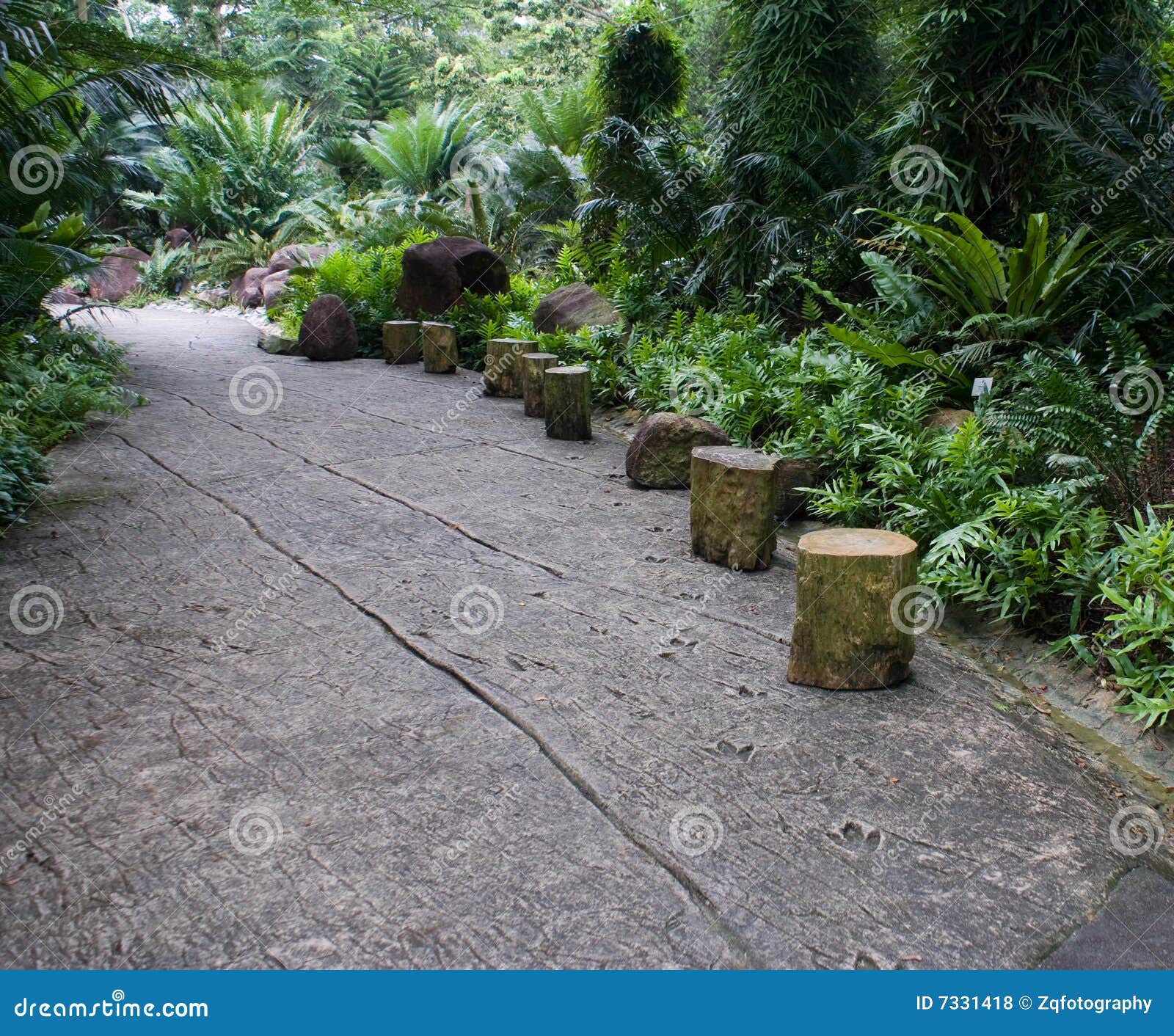 Park walkway stock photo. Image of road, landscaping, green - 7331418