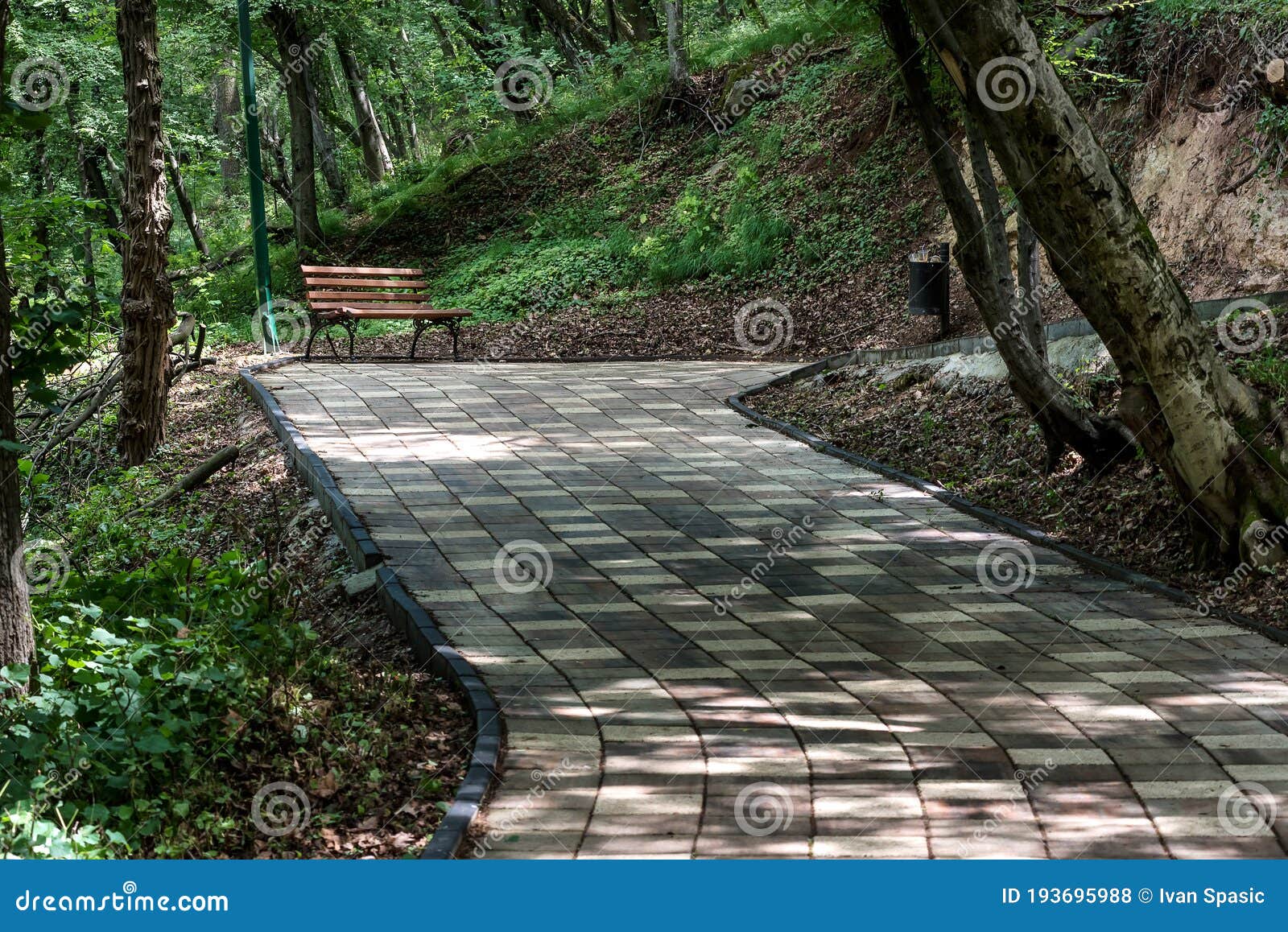 Park Walkway with Benches in the Spring Stock Photo - Image of leafage ...