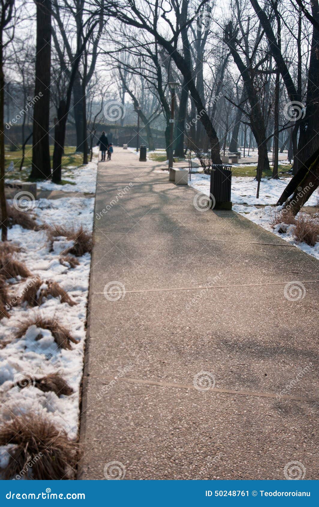 Park walkways editorial photo. Image of alley, landscape - 50248761