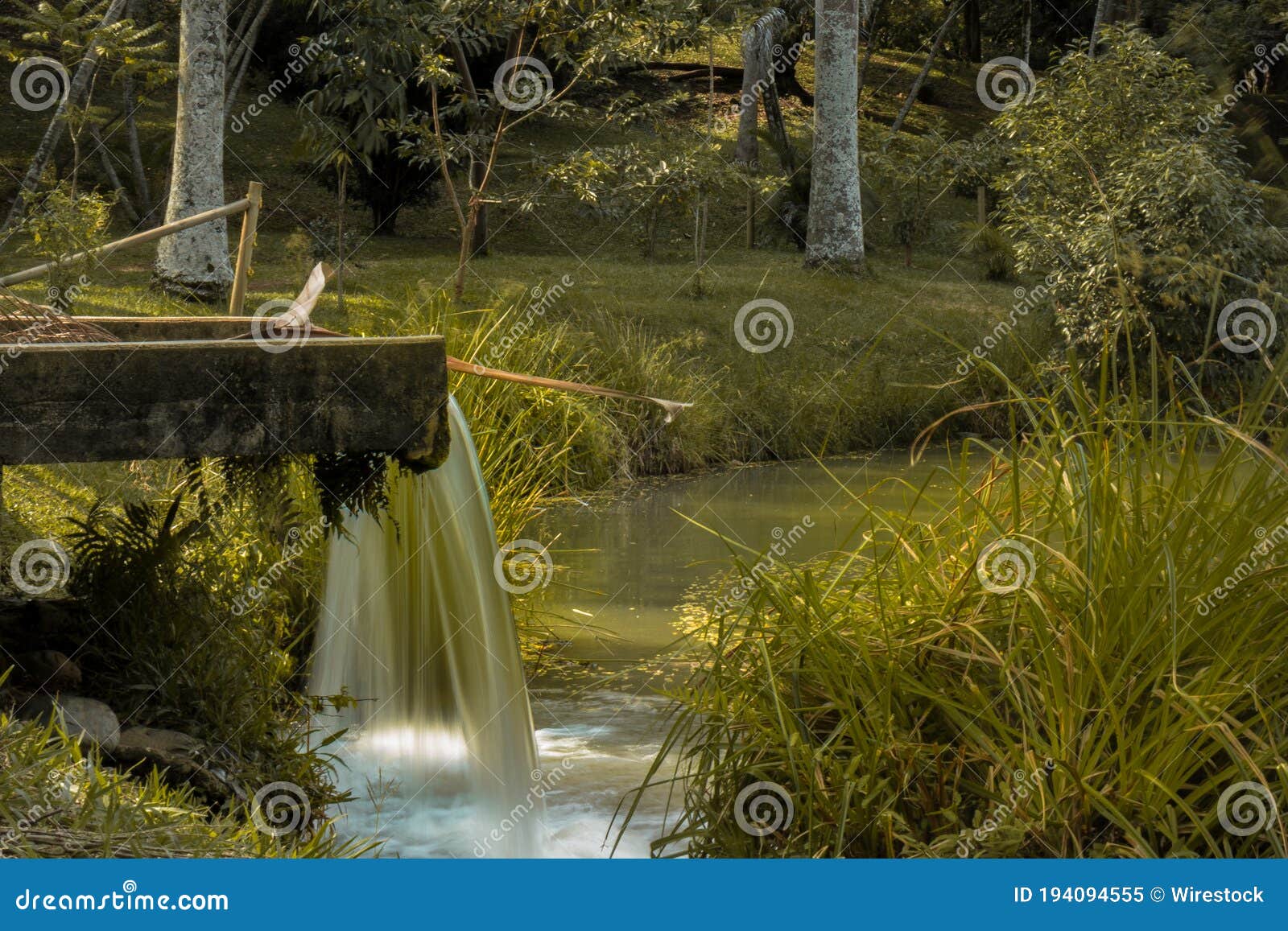 Park with Water Falling from a Source into a Pond Stock Image - Image ...