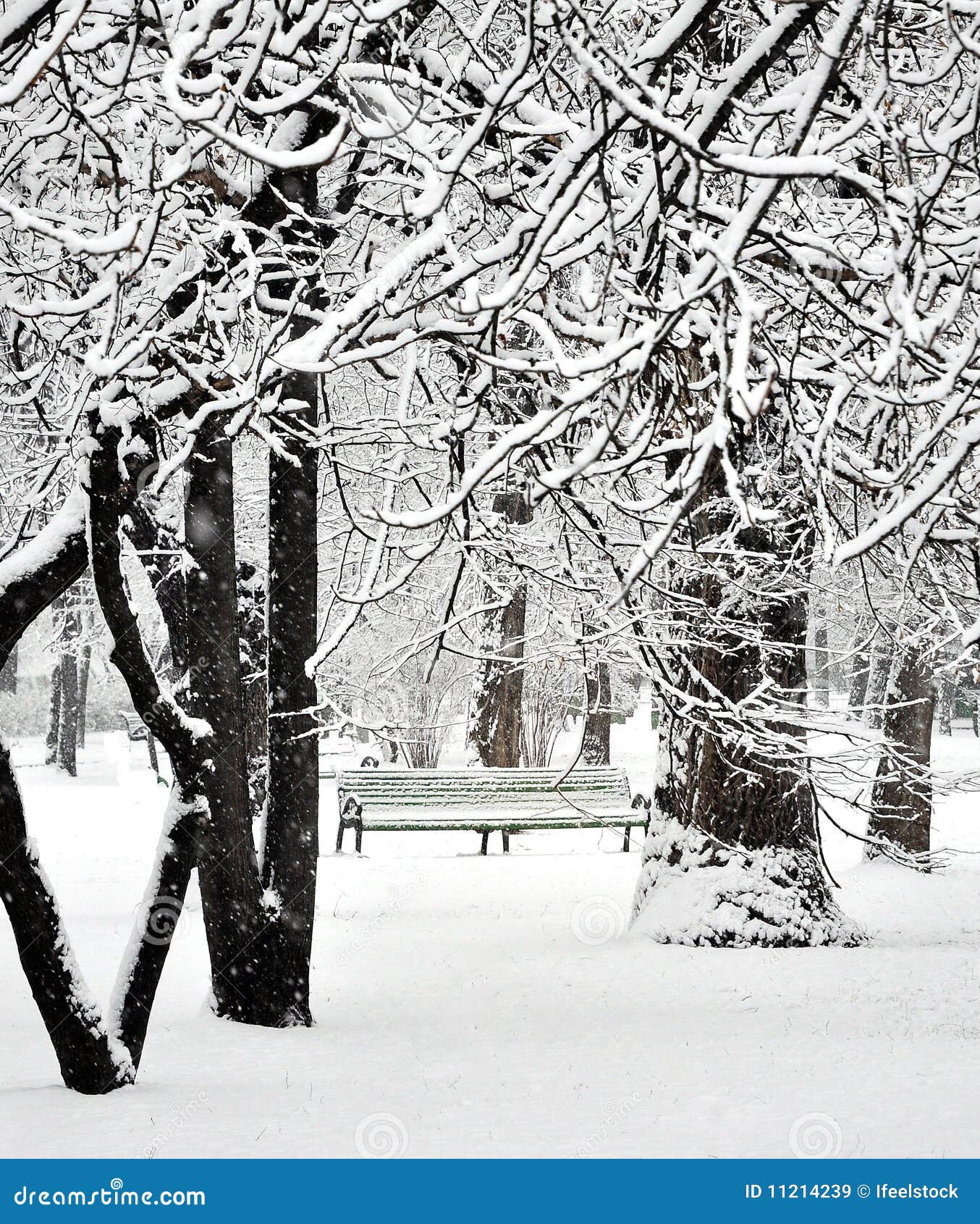 Park in winter stock image. Image of frozen, frosty, december - 11214239